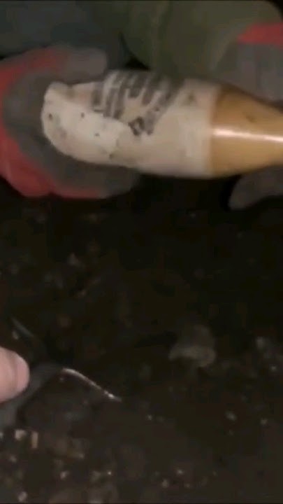 ginger beer live excavation findlay mcdairmaid glasgow found bottle digging glasgow scotland ...