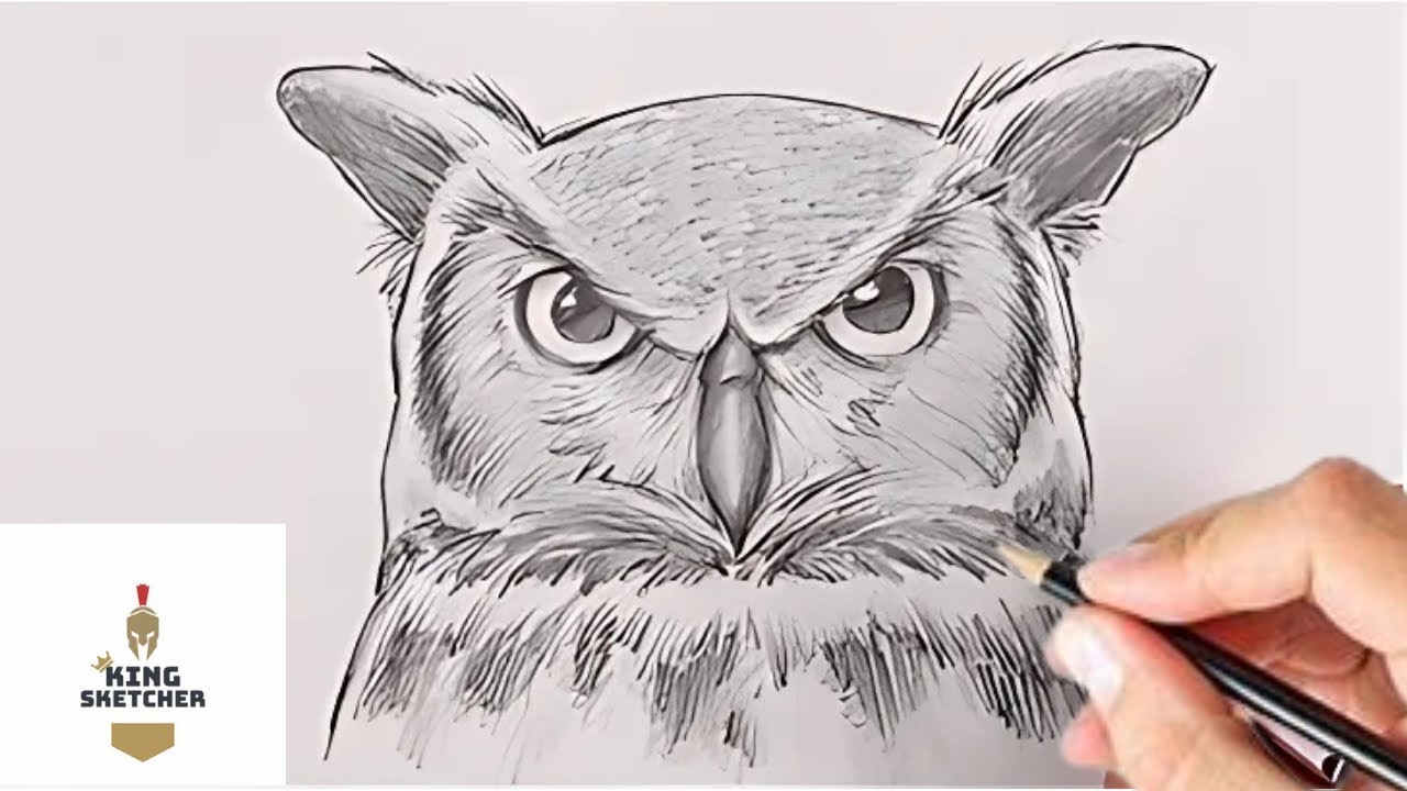 How to draw an owl 🦉 | The Great Horned Owl | Step-by-Step tutorial ...