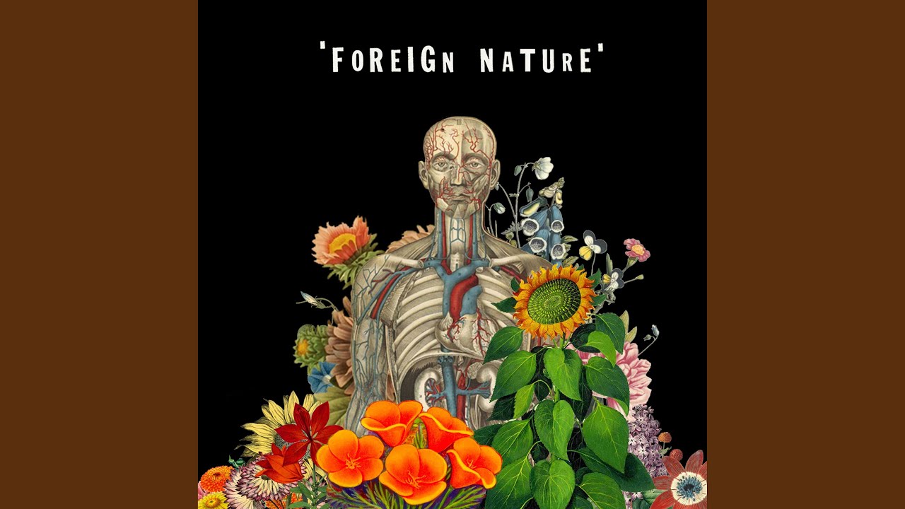 Foreign Nature - YouTube