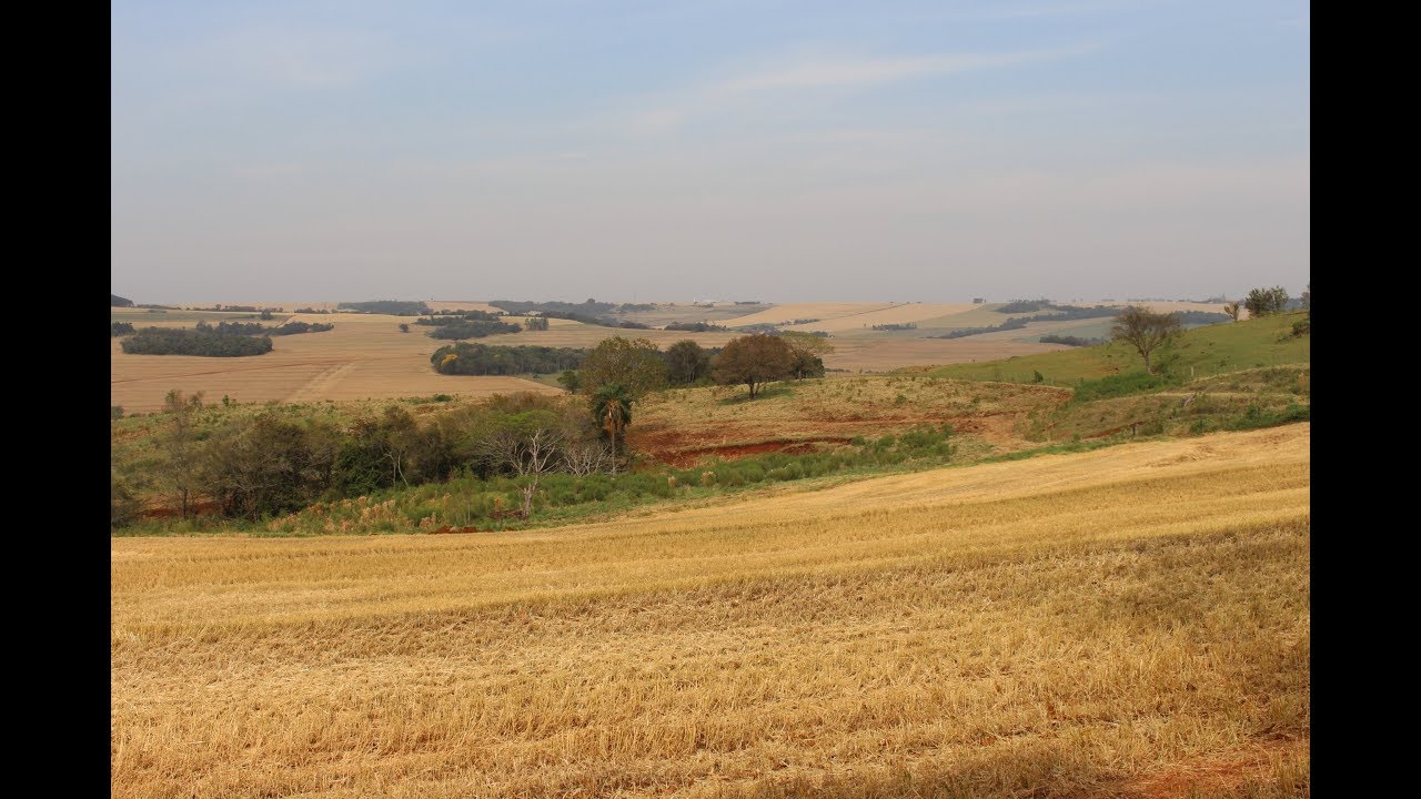 Venda - Área Rural - YouTube