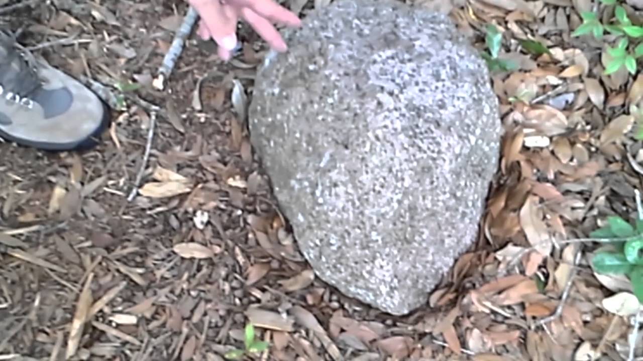In search of Florida's Native Rock - YouTube