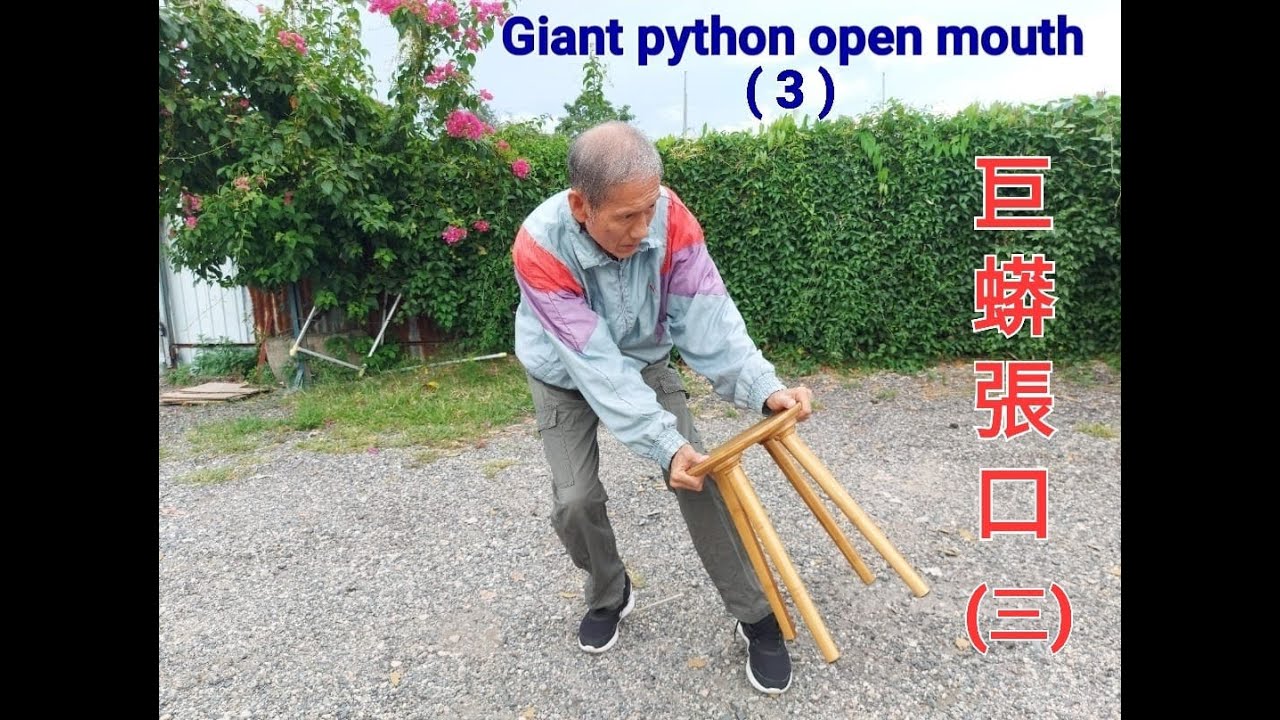 Kung Fu learning 58 Kung fu chair section 1 Giant python opening its mouth (3) 功夫椅 第一式 巨蟒張口 (三 ...