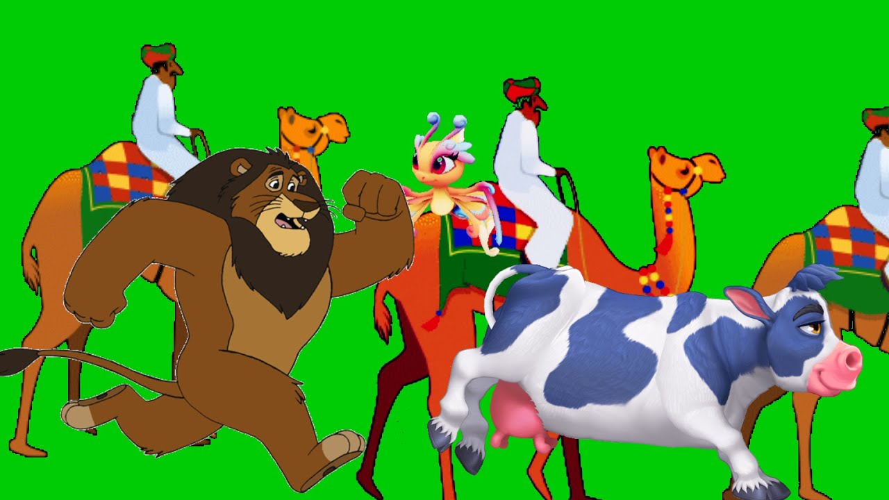 Green Screen Running Animals | Animals stampede #greenscreen #stampede ...