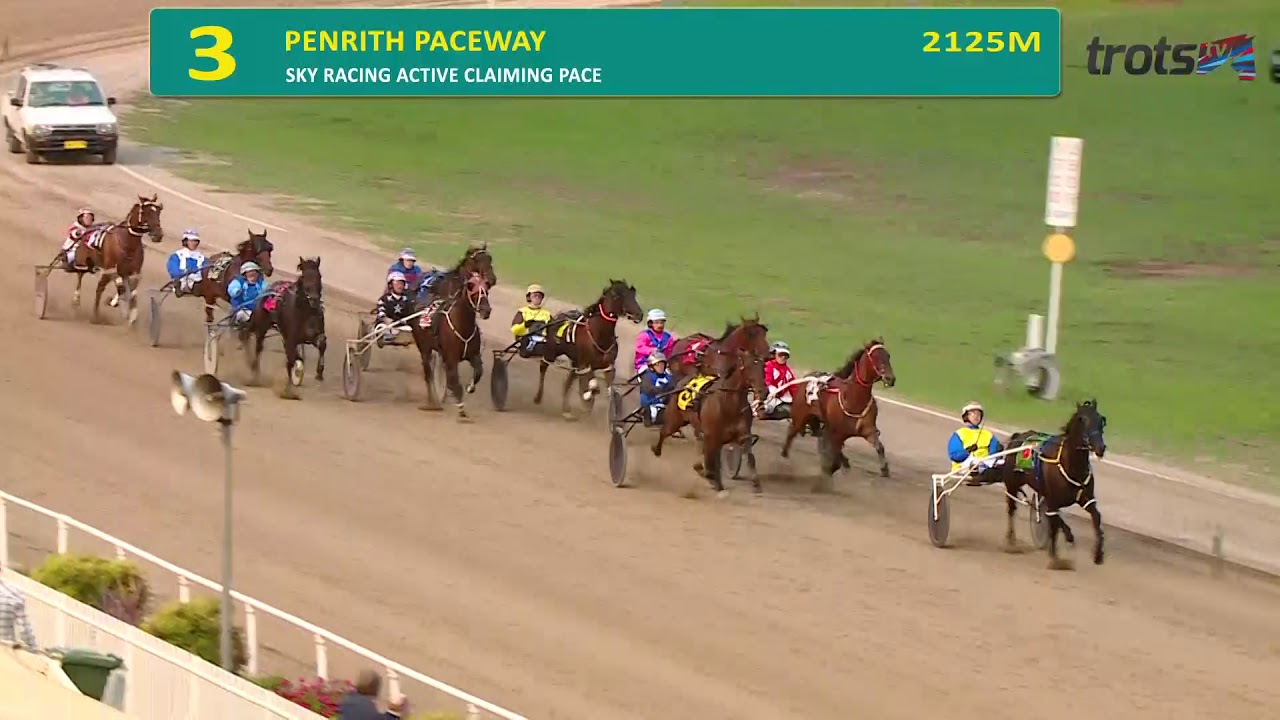 PENRITH - 06/02/2020 - Race 3 - SKY RACING ACTIVE CLAIMING PACE - YouTube
