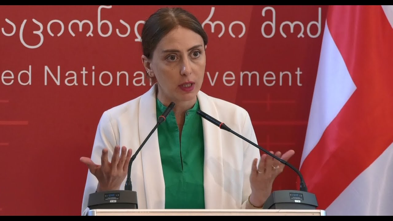ეს კანონი არ ითვალისწინებს საქართველოში დემოკრატიის განმტკიცებას