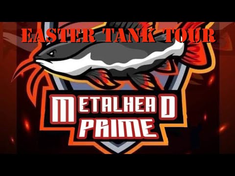 Easter tank tour - YouTube