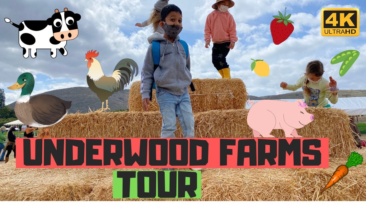 Underwood Family Farms Tour | Moorpark,CA - YouTube