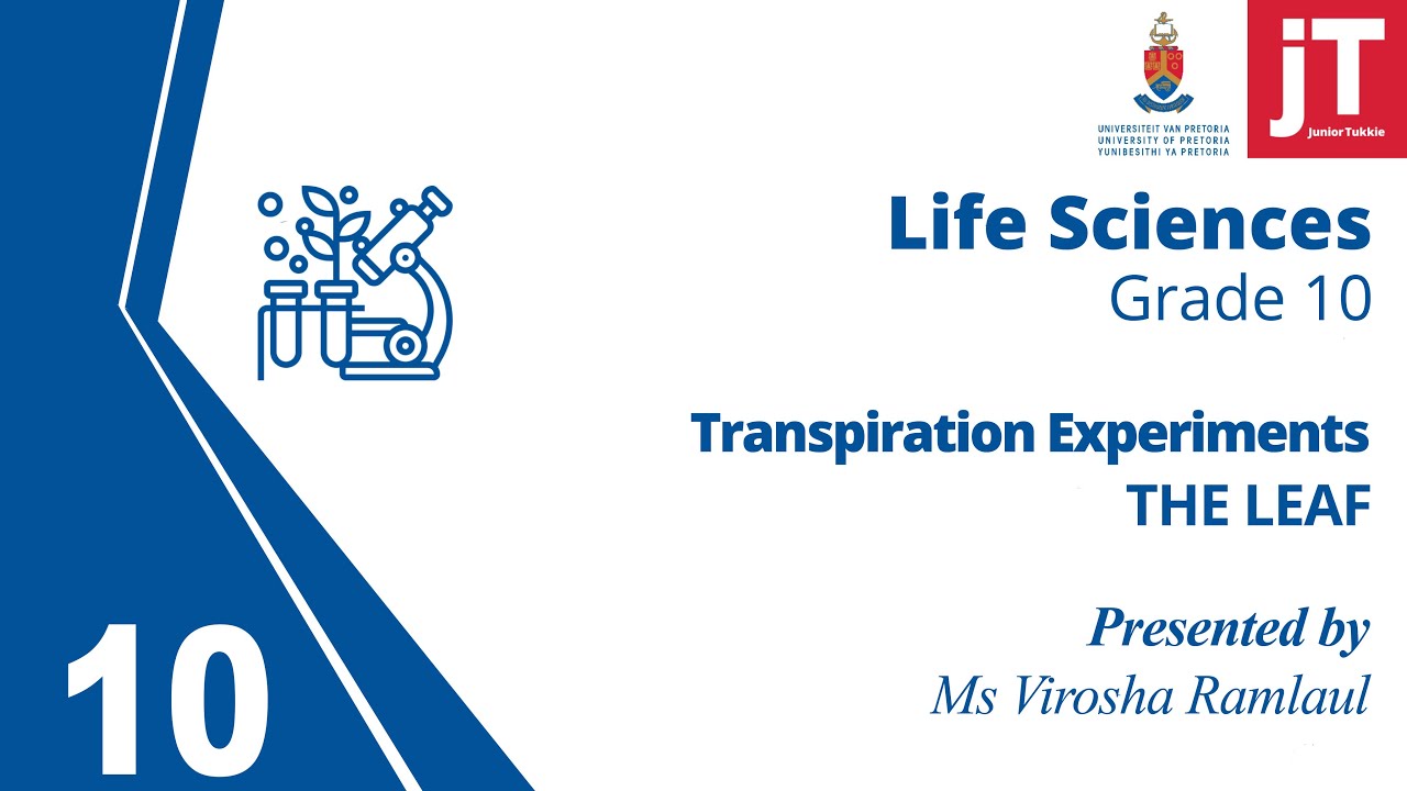Gr 10 Life Sciences - The Leaf - Transpiration Experiments - YouTube
