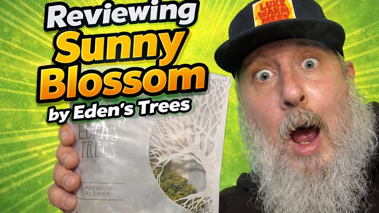 Reviewing Sunny Blossom by Eden's Trees - YouTube
