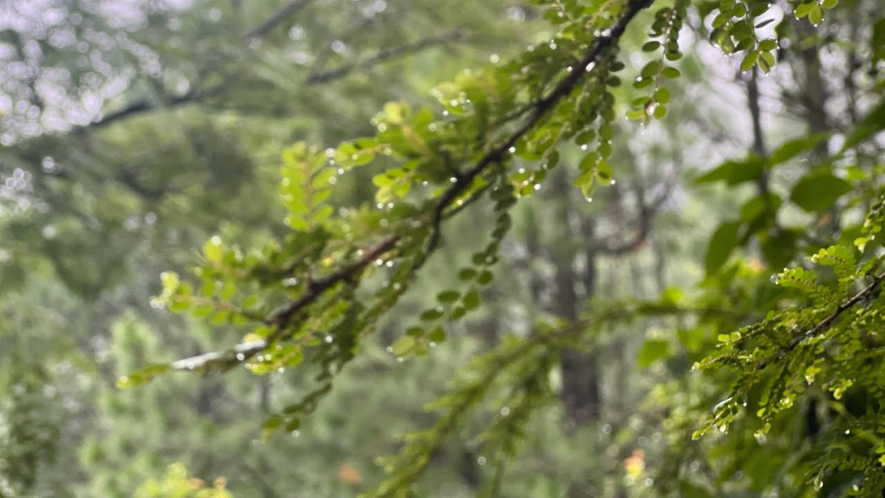 Tarevir hiking 🥾 - YouTube