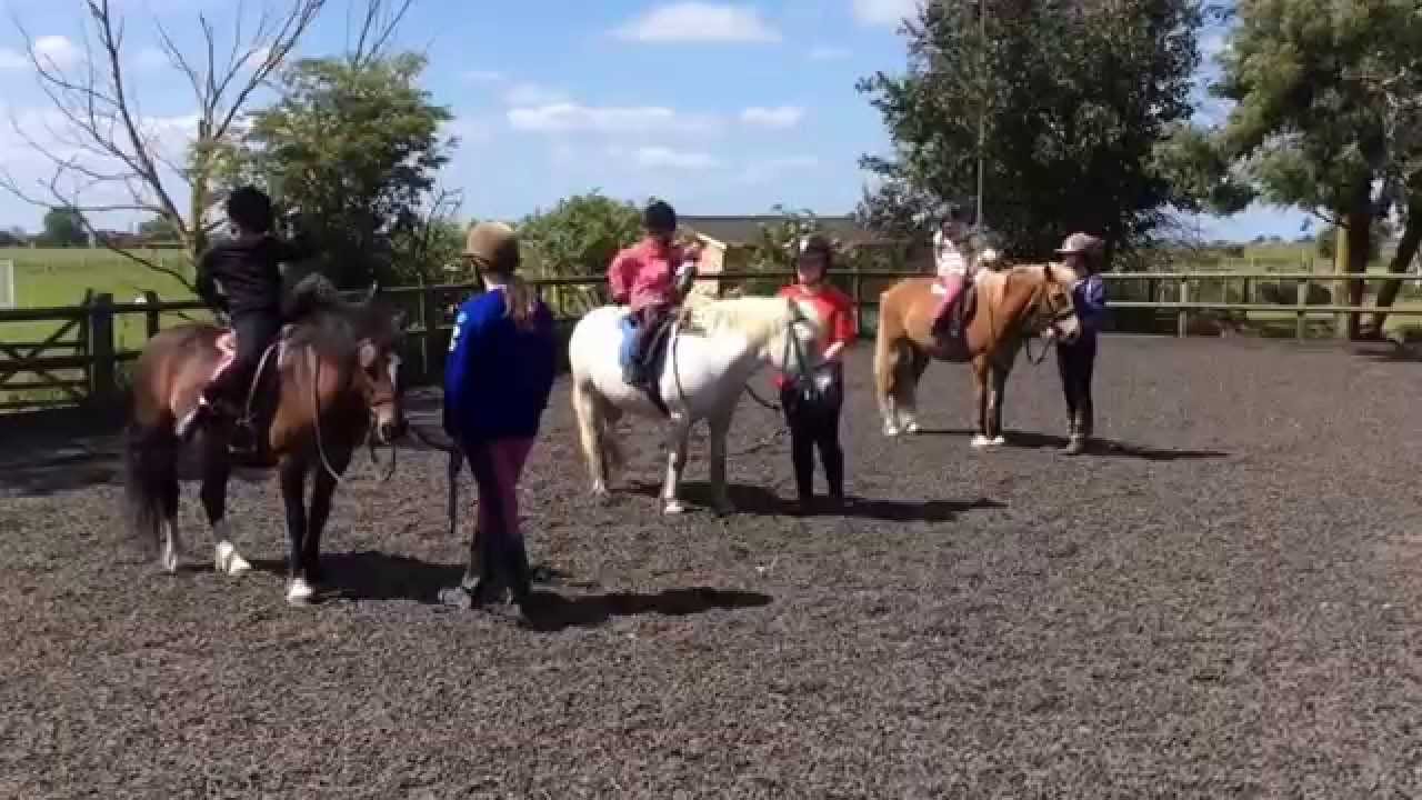 Willow Farm Pony Club and Riding School in the sunshine!! - YouTube