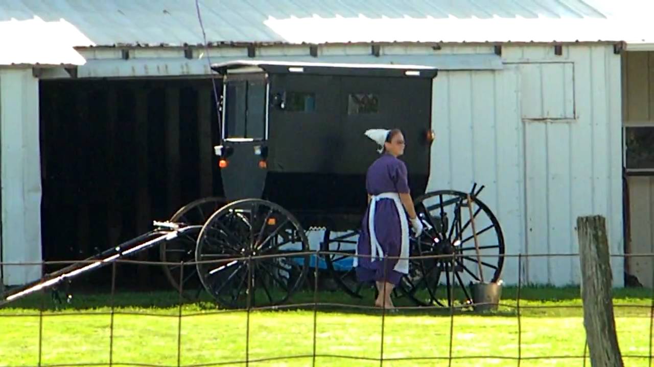Amish girl washing buggy - YouTube