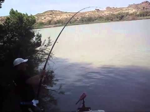 som 2,reka ebro caspe,Vankata - YouTube