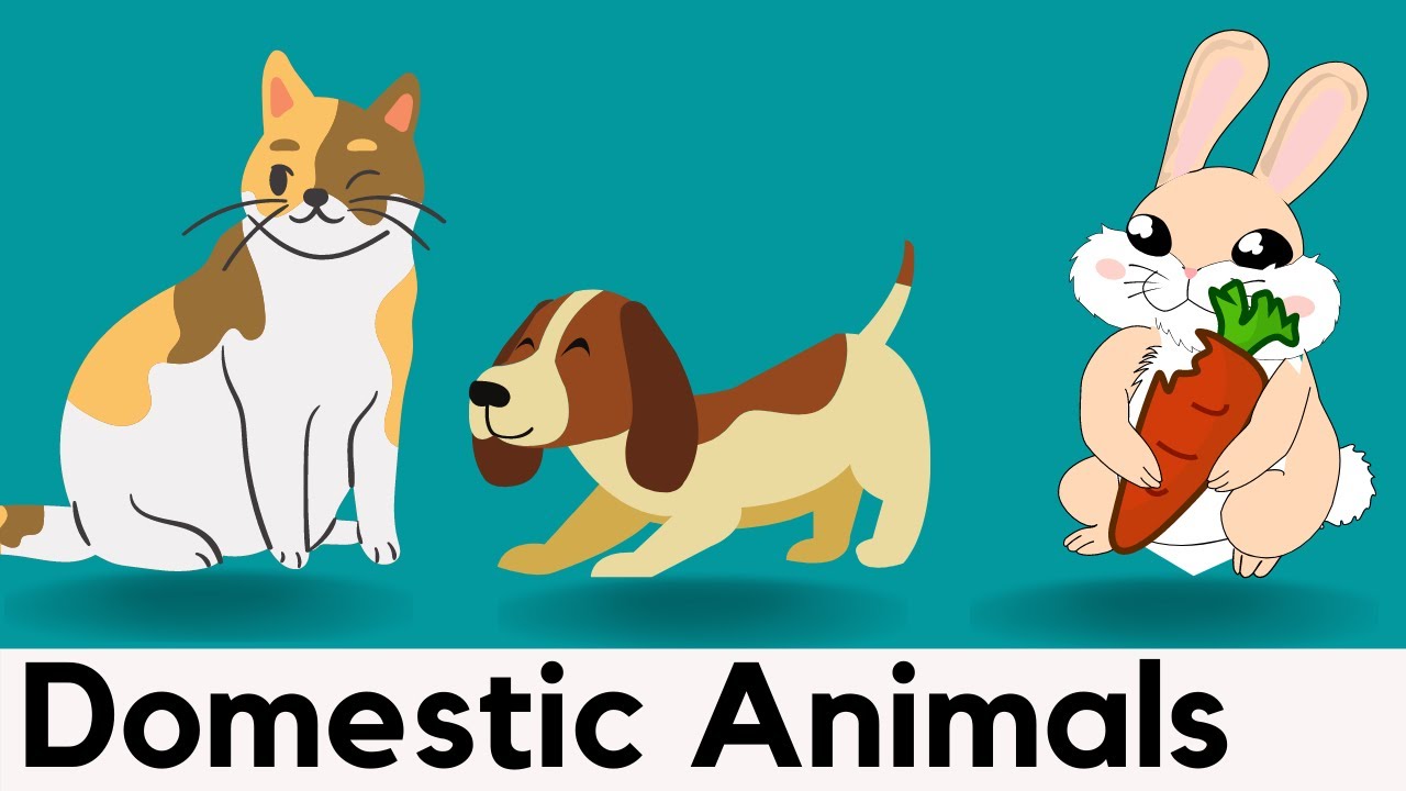 10 Domestic Animals Names With Spellings Easy Spelling Words For Kids 10 Domestic Animals Names With Spellings Easy Spelling Words For Kids