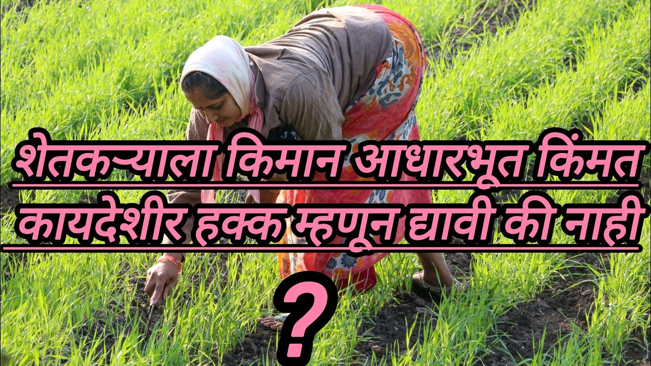 Minimum support price as a legal right | MSP | Upsc gs 3 | mpsc ...