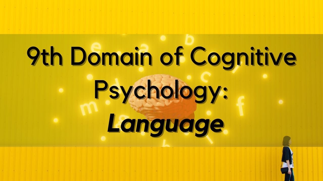 Language| Domains of Cognitive Psychology Series| #cognitivepsychology ...