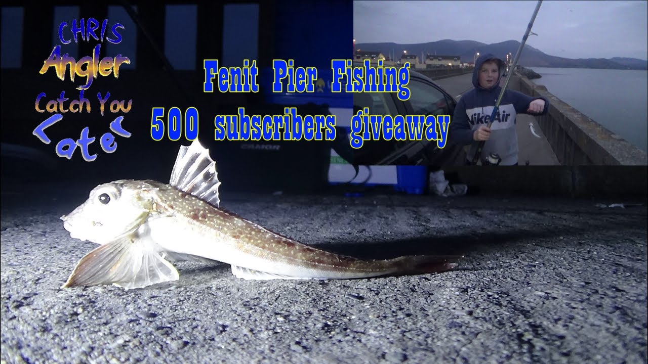 Multi species fishing at Fenit Pier Co-Kerry and giveaway - YouTube