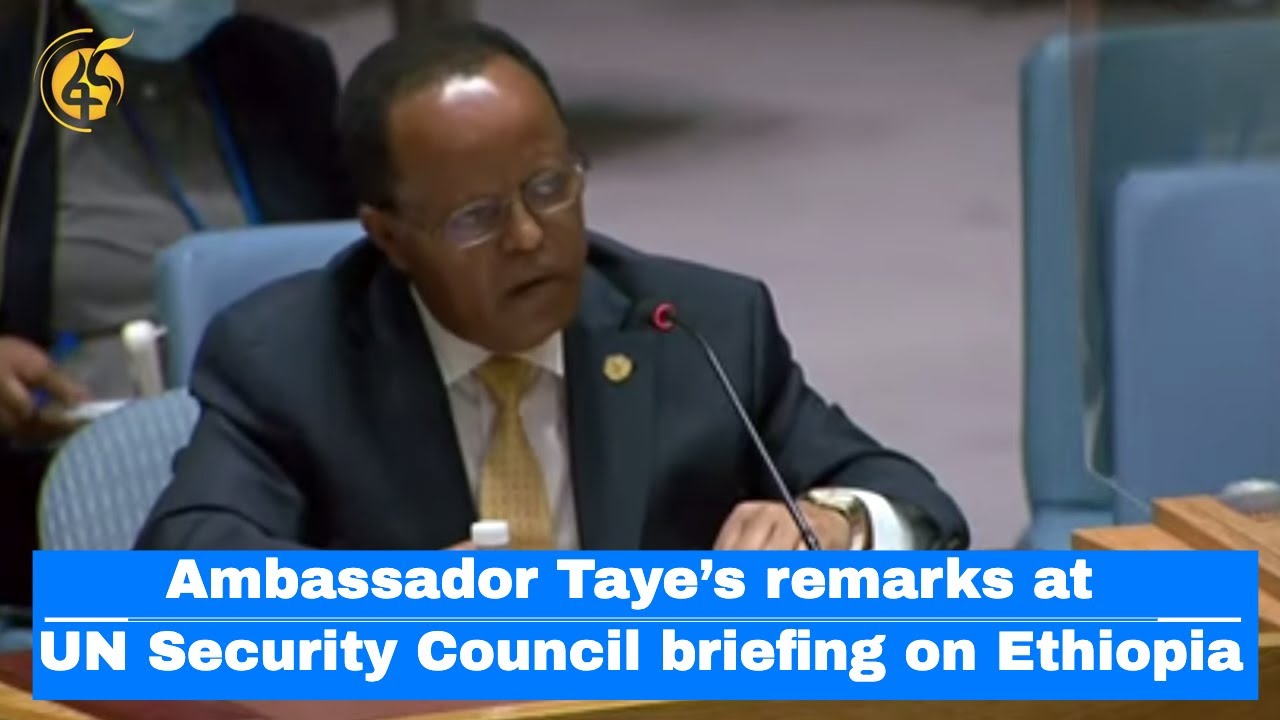 Ambassador Taye’s remarks at UN Security Council briefing on Ethiopia ...