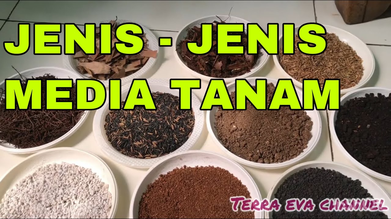 JENIS JENIS MEDIA TANAM DAN KEGUNAANNYA - YouTube