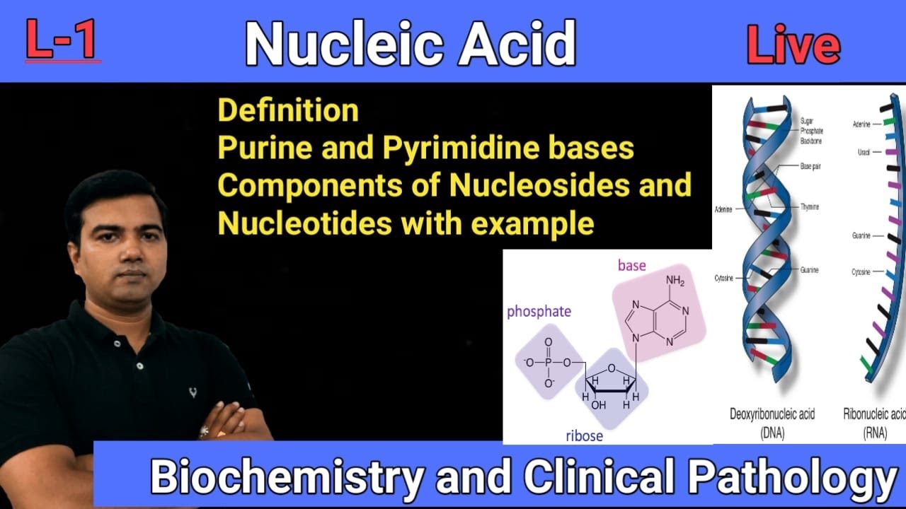 Nucleic Acid Definition DNATCO V3.2: Analysis Of Nucleic Acid