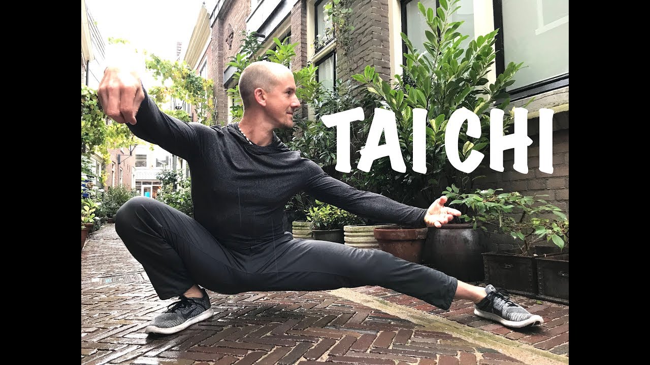 Amazing 14 Minute TAI CHI LESSON - YouTube