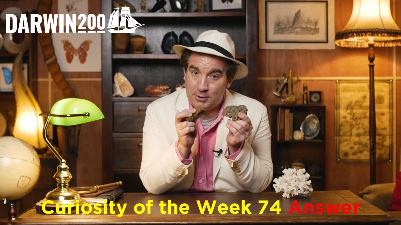 ANSWER - Curiosity of the Week 74 (Segment from World's Most Exciting ...