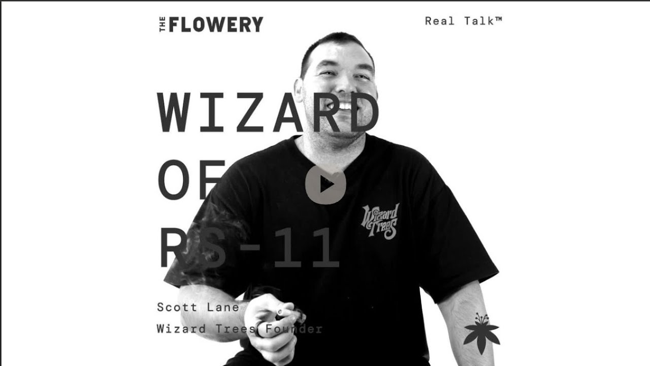 Wizard Talks with Wizard Trees; Real Talk™ @ The Flowery - YouTube