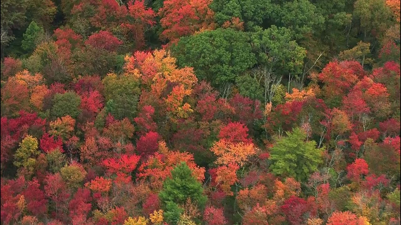 Gorgeous! Sky5 flies over incredible fall colors - YouTube