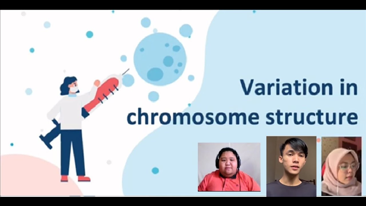 VARIATION IN CHROMOSOME STRUCTURE FFT1073 GROUP 4 - YouTube
