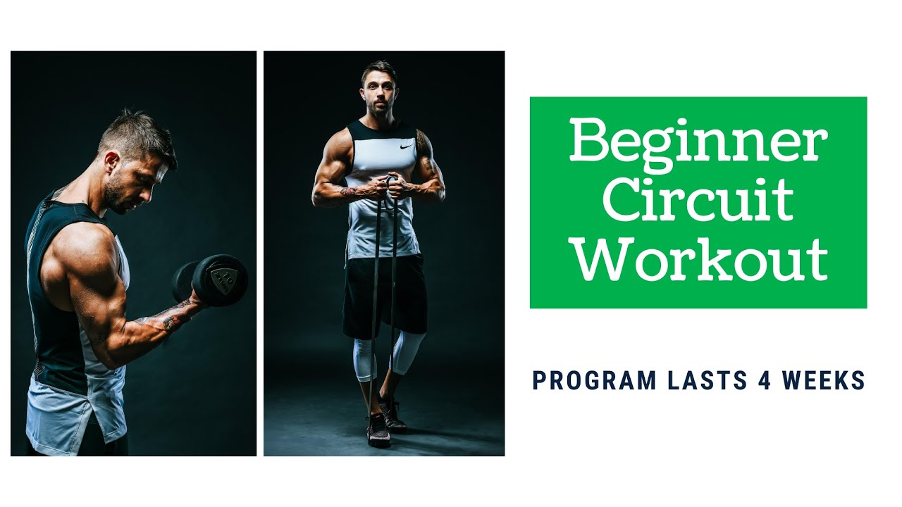 Beginner Circuit Workout / teaser for full program on application - YouTube