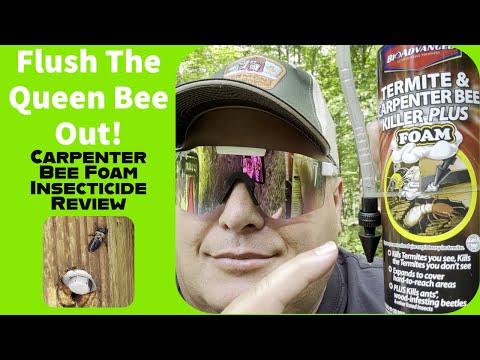How To Use Amdro Carpenter Bee Spray