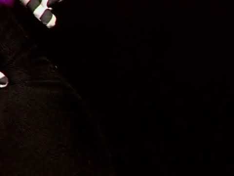 Baby Einstein Baby Van Gogh World Of Colors Part 4 Orange - YouTube