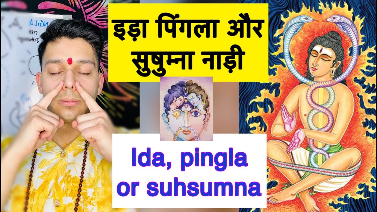 इड़ा पिंगला और सुषुम्ना ida pingla or sushumna complete information शिव ...