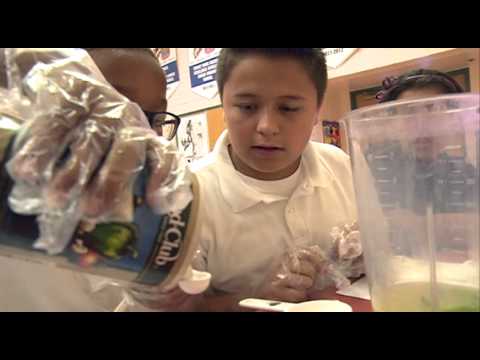 TUSD1 - CE Rose K-8 School, HealthierUS School Challenge Award - YouTube