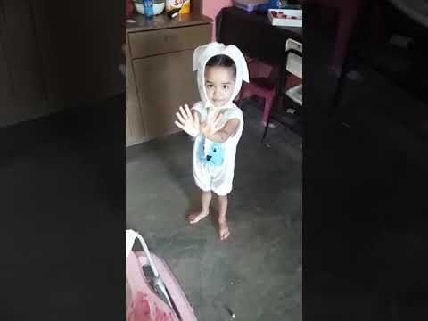Coelhinha lili