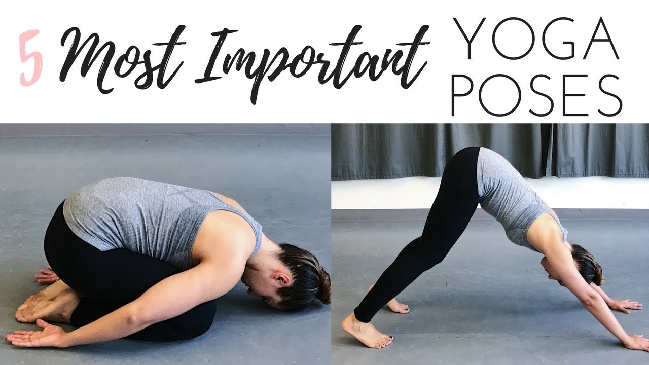 Most Important Yoga Poses Top 5 Beginners Yoga Poses Yoga Asana most-important-yoga-poses-top-5-beginners-yoga-poses-yoga-asana