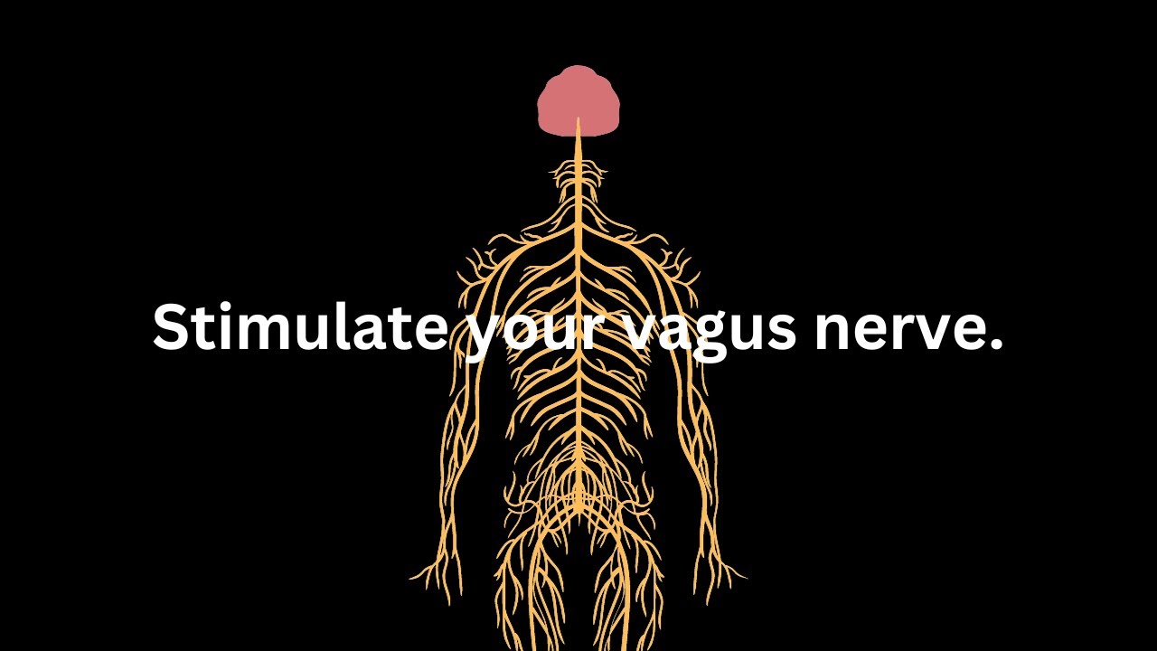 How to relax. (vagus nerve stimulation) - YouTube