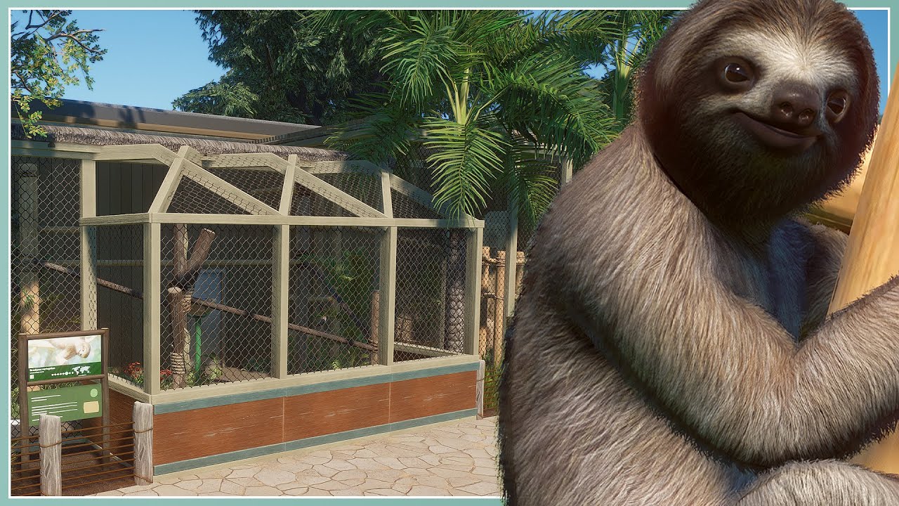 Brown-Throated Sloth Habitat | Planet Zoo Tropical Pack - YouTube