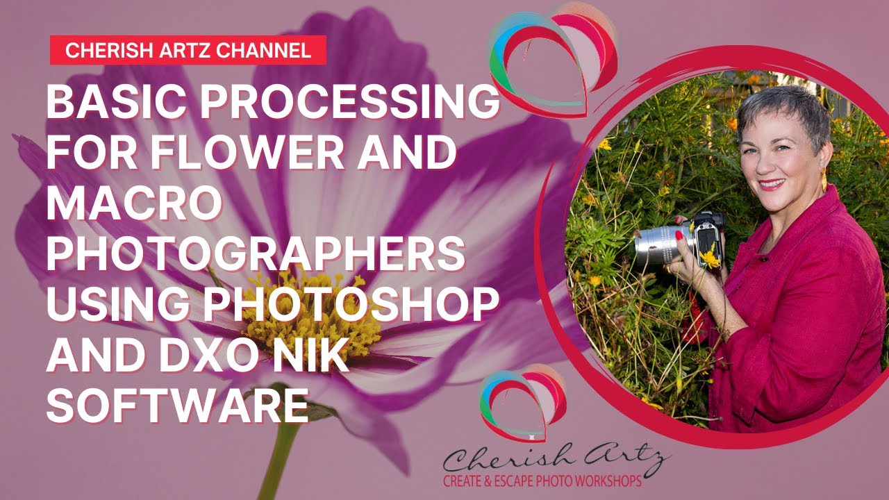 USING NIK COLOUR EFEX IN FLOWER PHOTOGRAPHY – THE BASICS STEP BY STEP ...