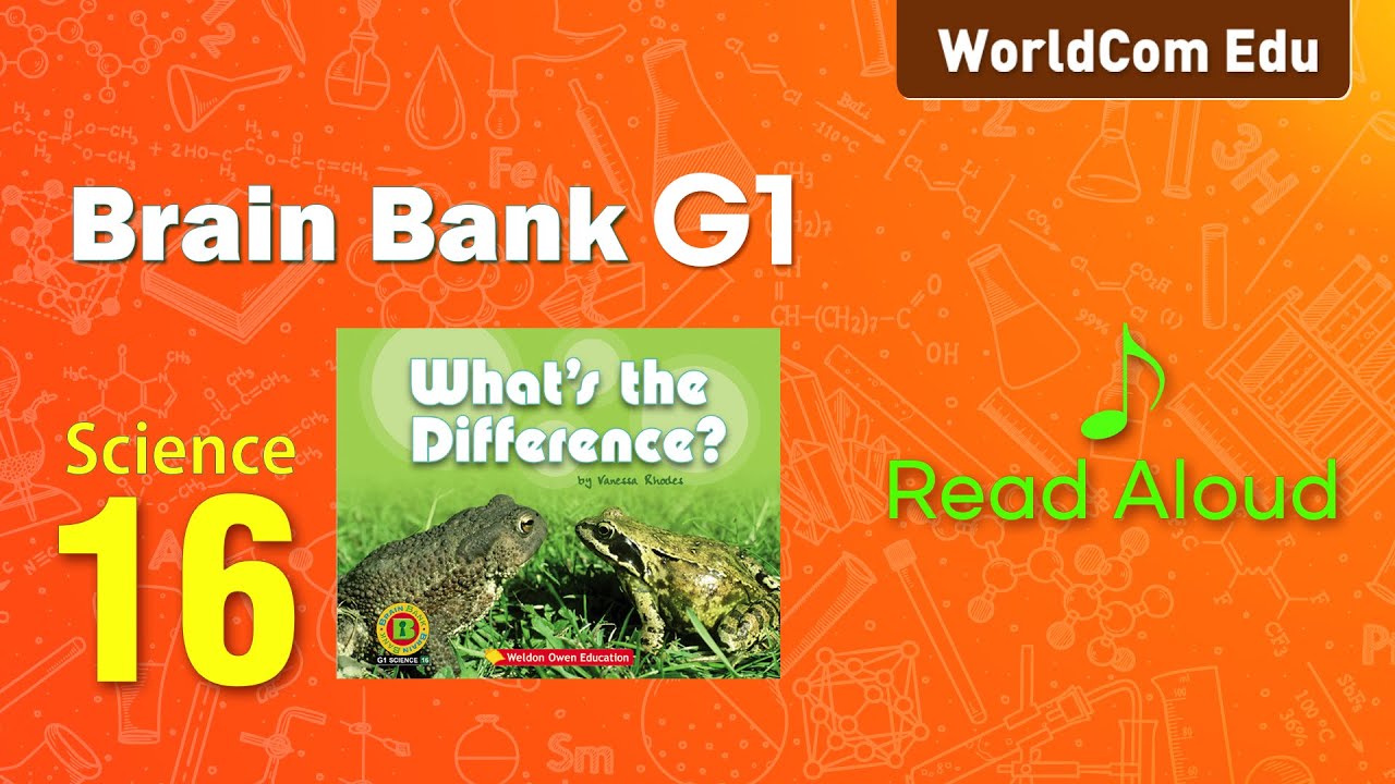 브레인뱅크 G1 Science I 16. What's the Difference? I Read Aloud - YouTube