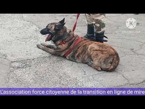 L'association force citoyenne de la transition en ligne de mire lors d ...