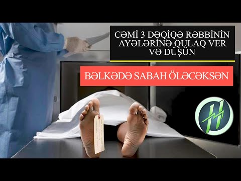 SƏN ! BƏLİ SƏN ! NƏ EDİRSƏNSƏ DAYAN VƏ İZLƏ / CƏMİ 3 DƏQİQƏ