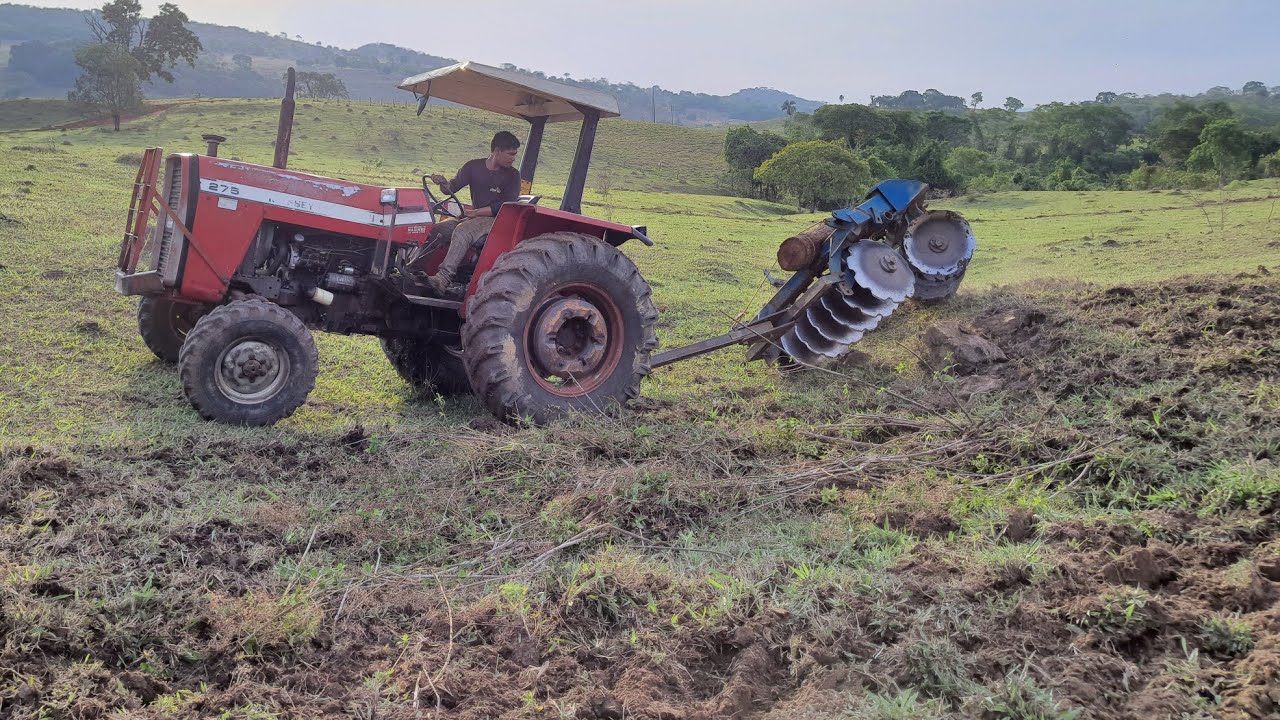 Trator Massey Ferguson 275 gradeando a terra, Será que tombou a garde ...