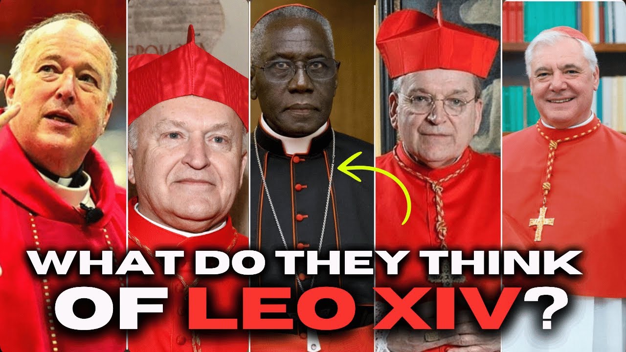 KEY CARDINALS BREAK the silence on POPE LEO XIV! - YouTube
