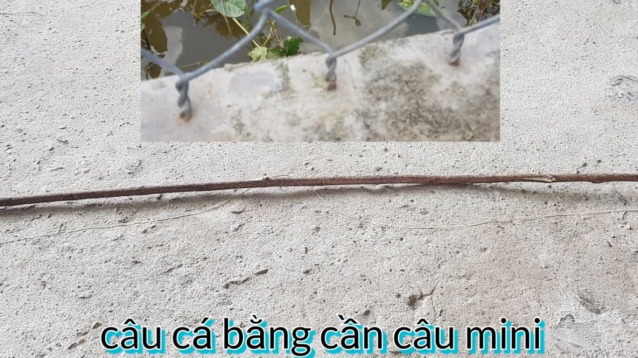 câu cá bằng cần câu mini - YouTube