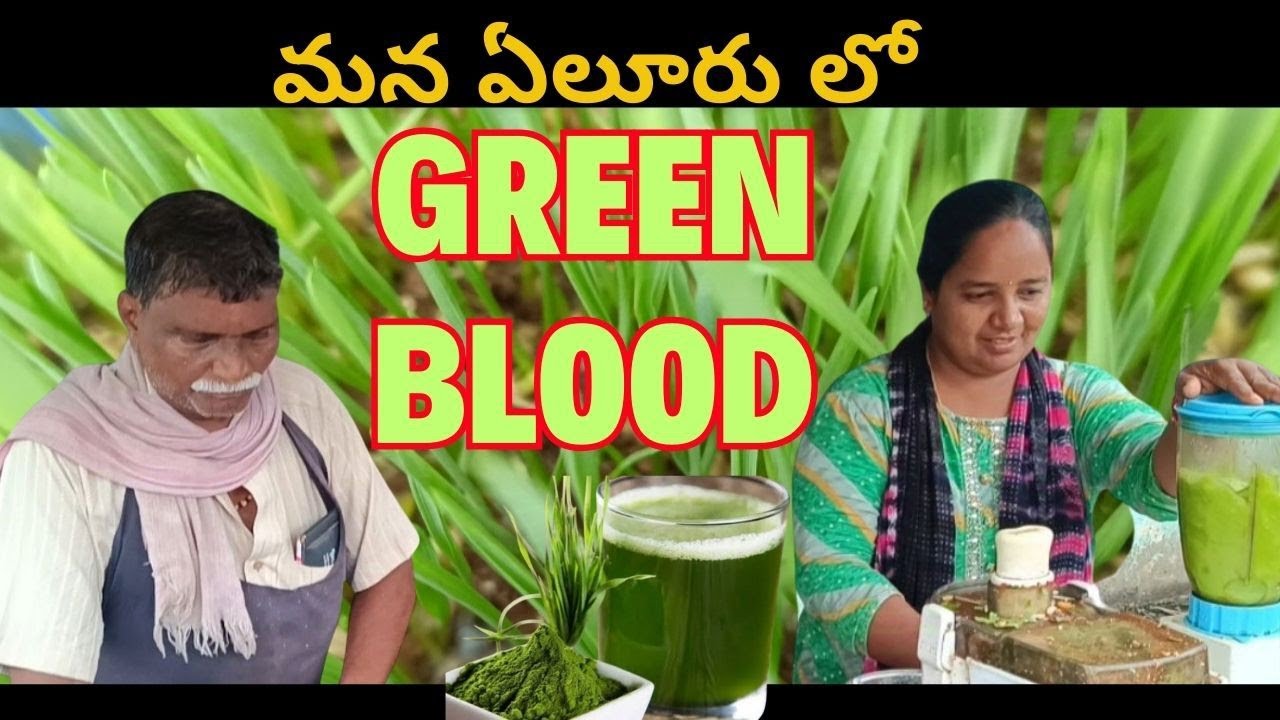 WHEATGRASS JUICE | HERBAL JUICE IN ELURU 4K VIDEO | JYOTHSNA HEALTHY ...