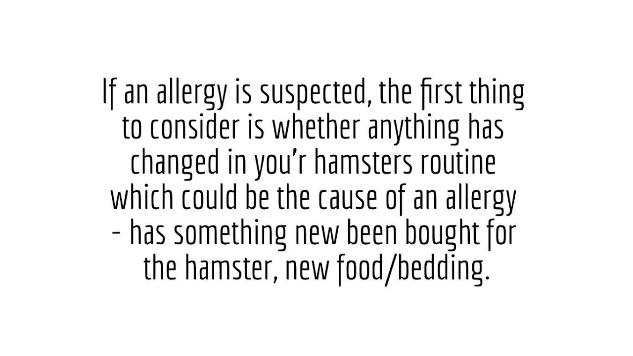 Hamster Illnesses: Allergy - YouTube