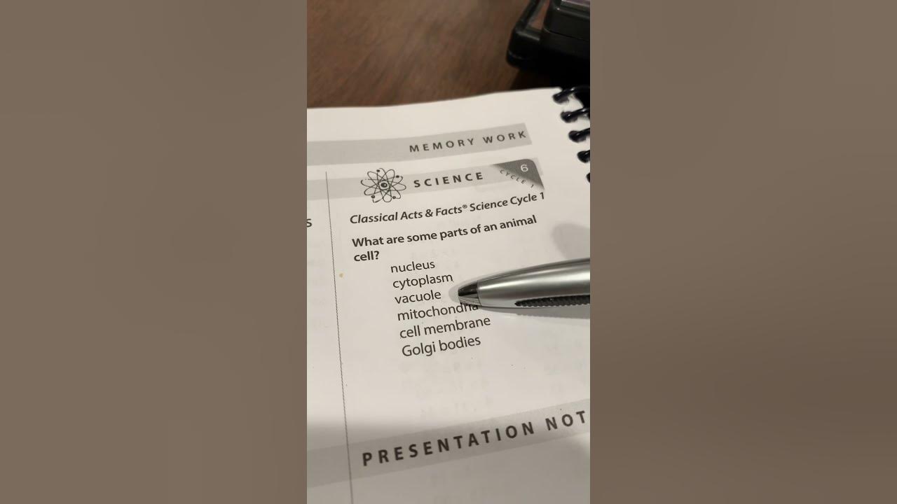 CC cycle 1 week 3 science song - YouTube