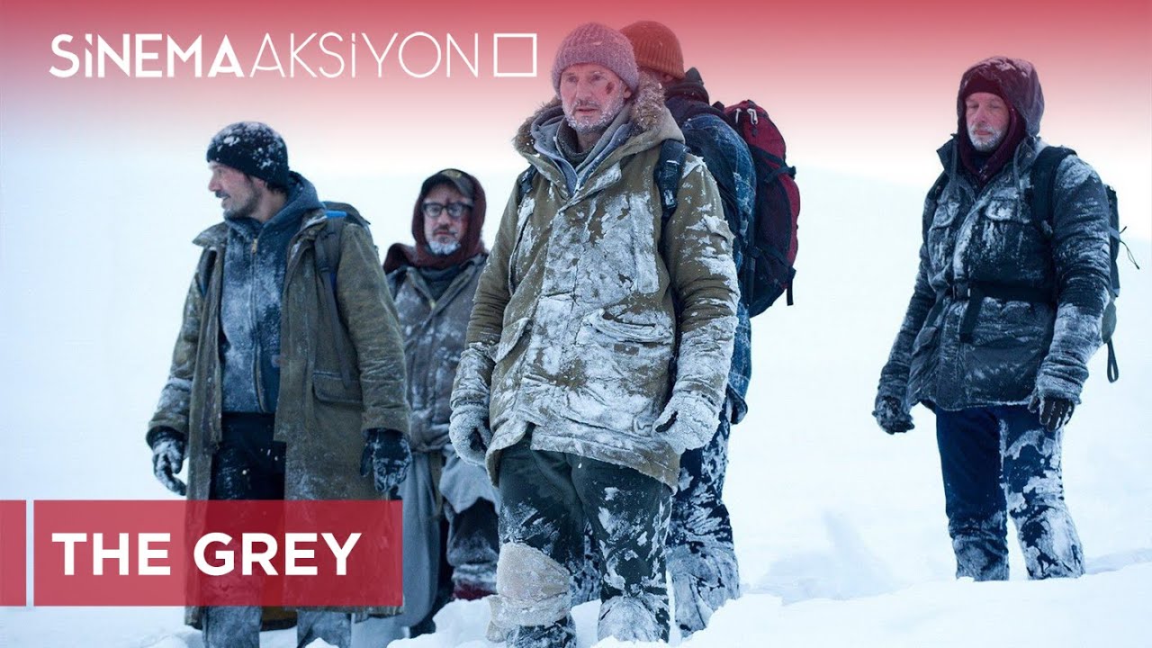 The Grey Trailer | SinemaTV - YouTube