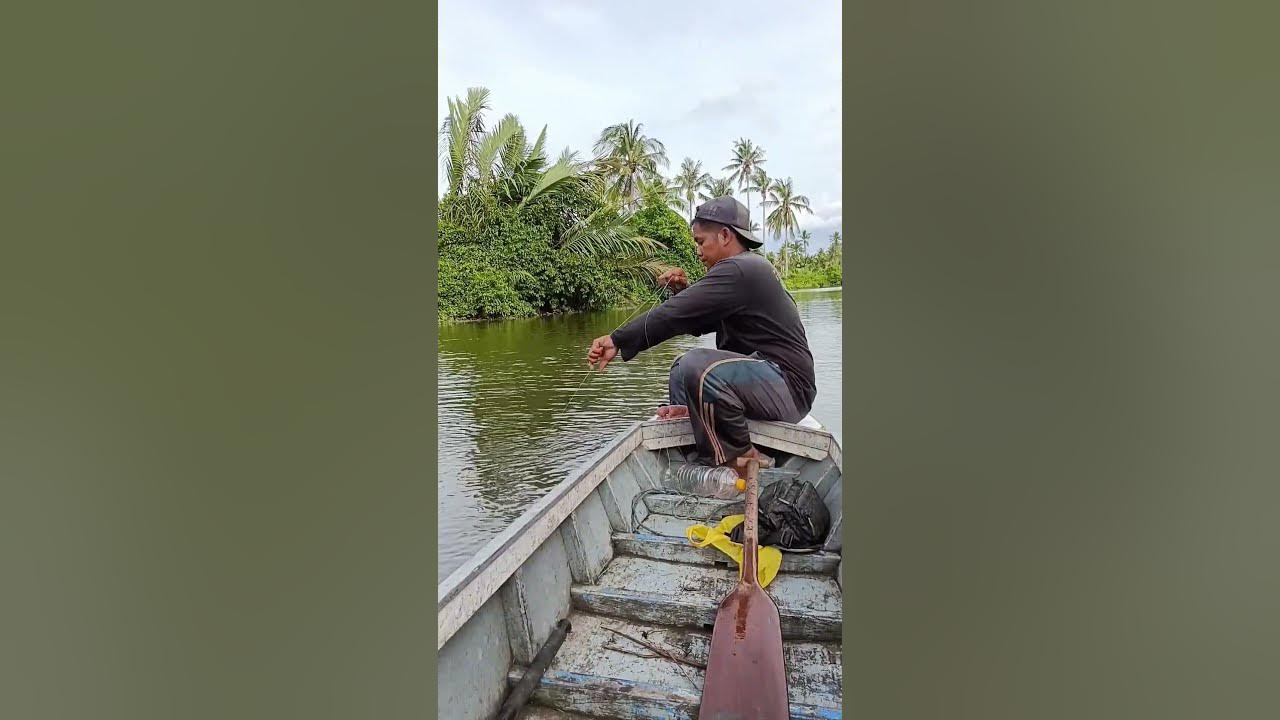 mancing ikan patin umpan Pisang #213 - YouTube